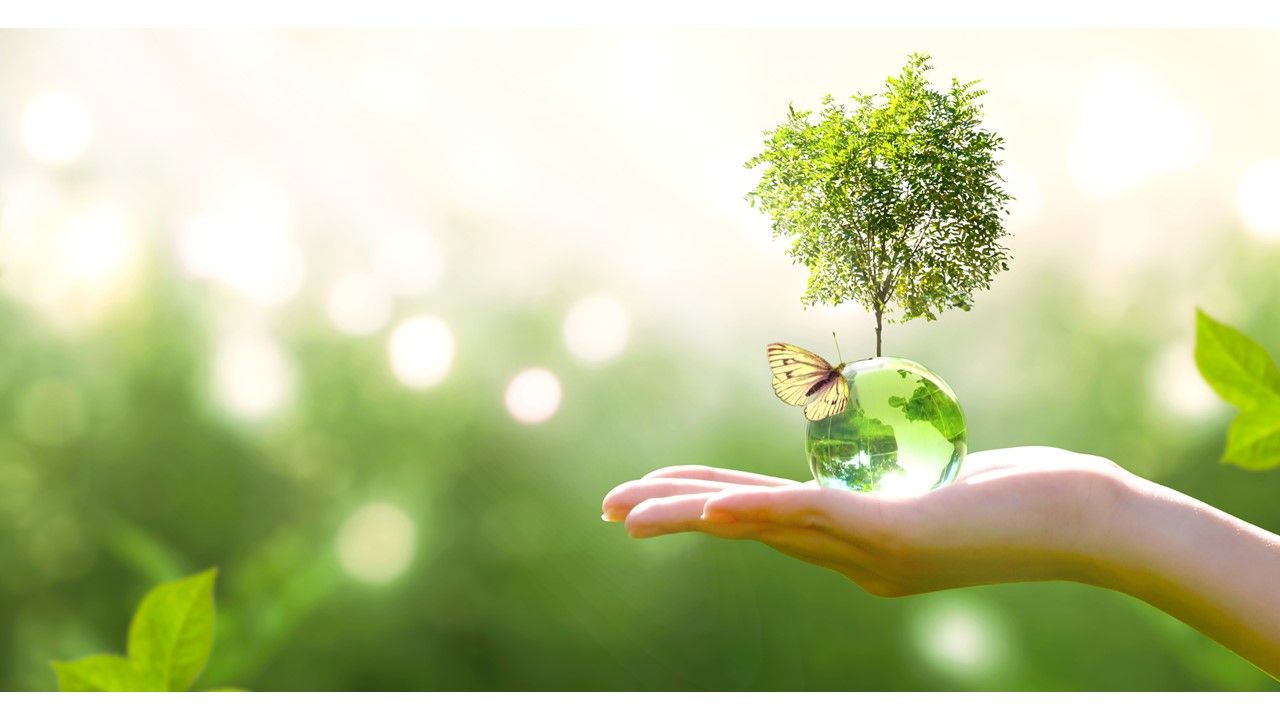 Compressed Air Library - 10 Steps to Green Production